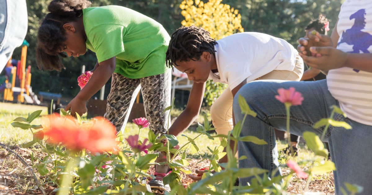 During School Programs - Jones Valley Teaching Farm