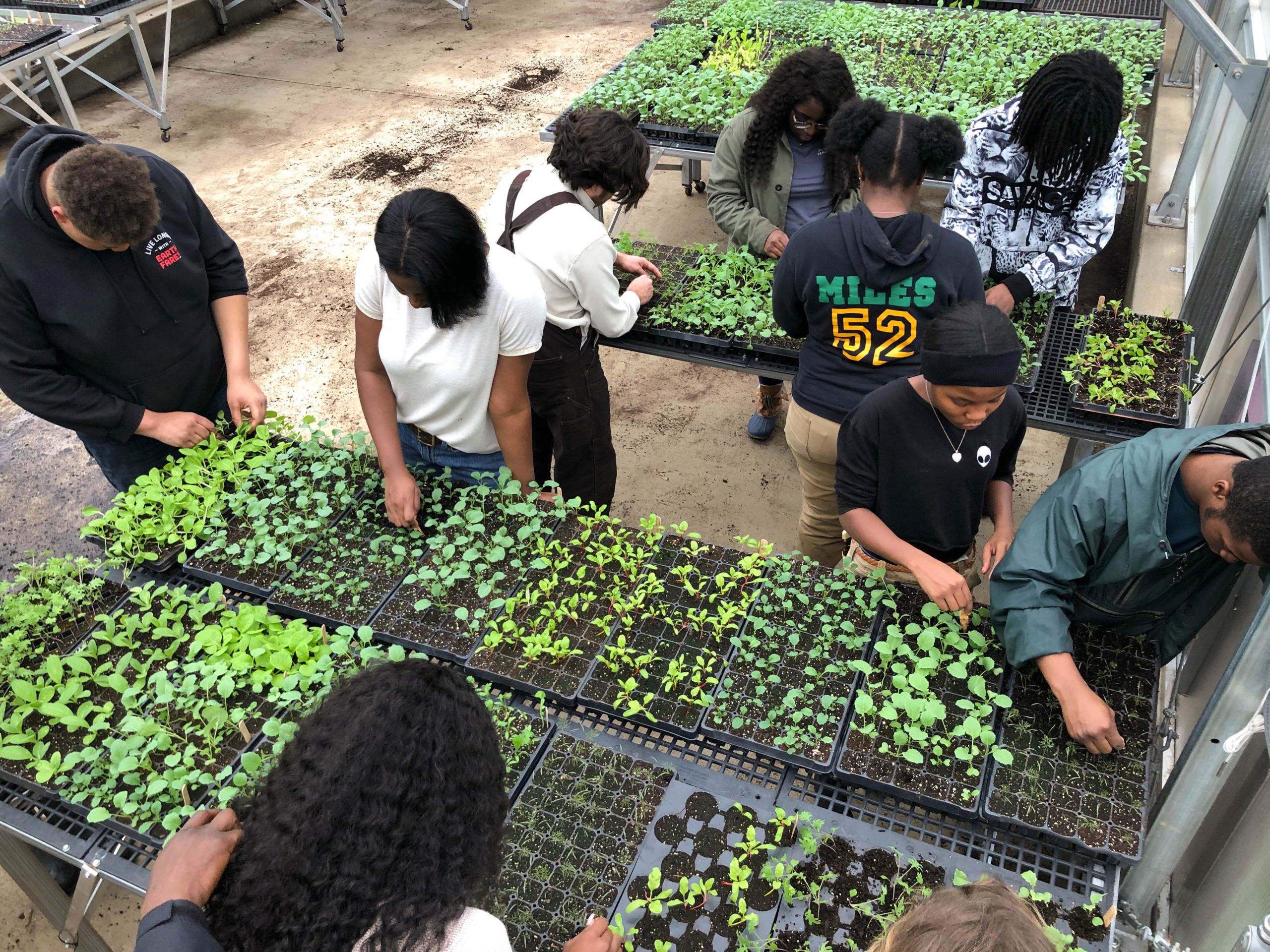 Apprenticeship Model - Jones Valley Teaching Farm