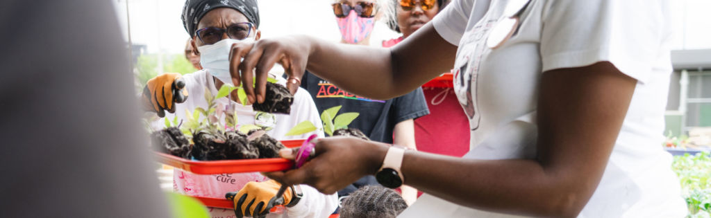 Good Community Food - Jones Valley Teaching Farm