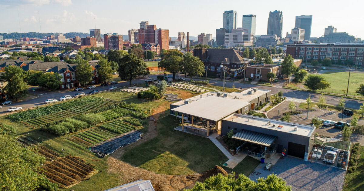 Strategy & Values - Jones Valley Teaching Farm