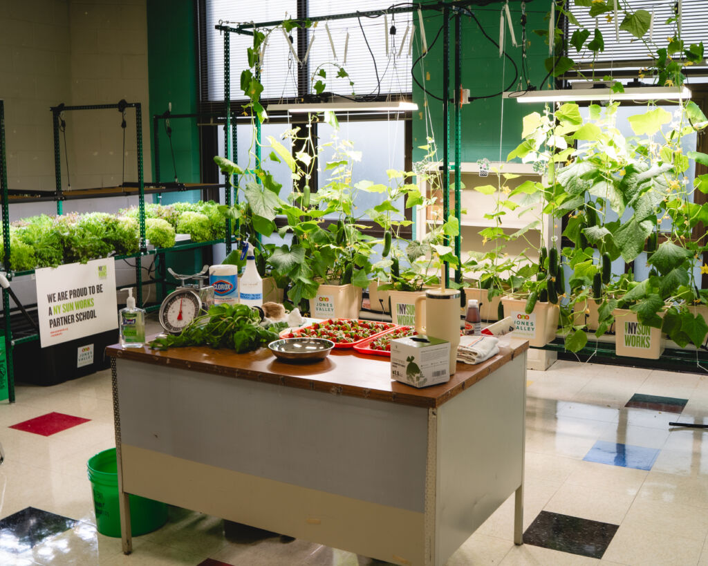 Classrooms in Full Bloom - Jones Valley Teaching Farm